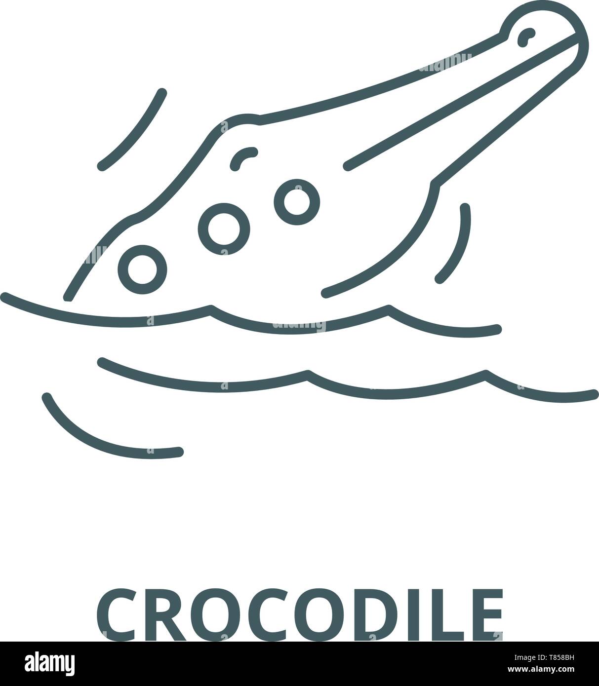 Crocodile vector line icon, linear concept, outline sign, symbol Stock ...