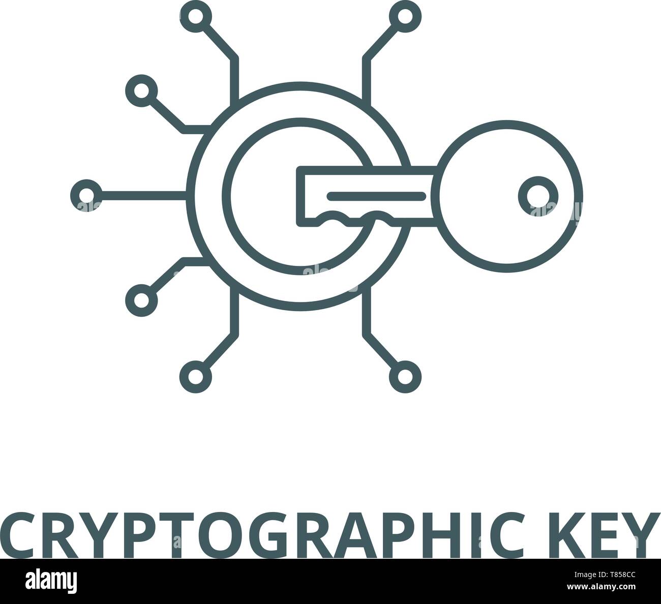 Cryptographic key vector line icon, linear concept, outline sign ...