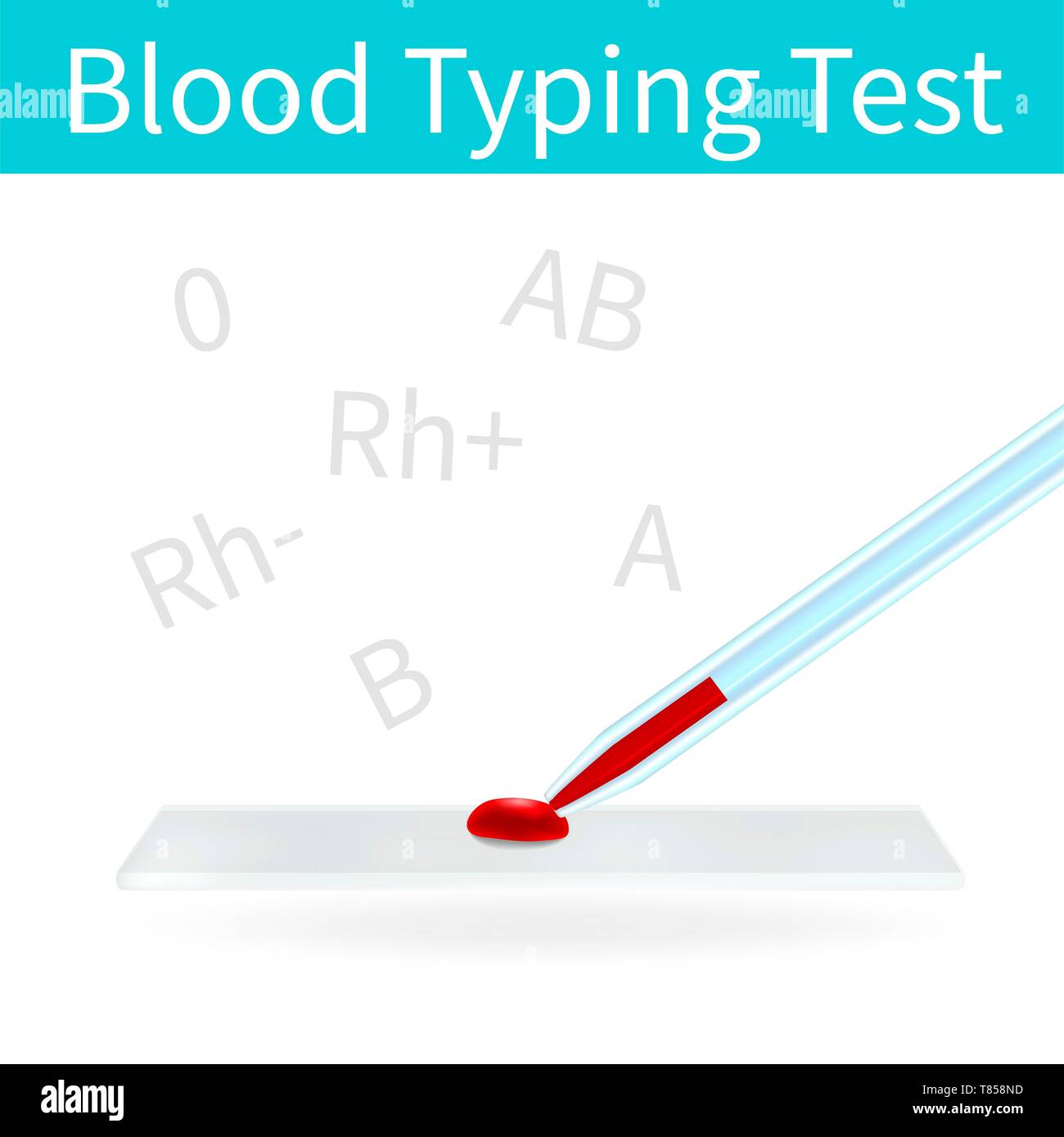 Blood typing test, illustration Stock Photo - Alamy