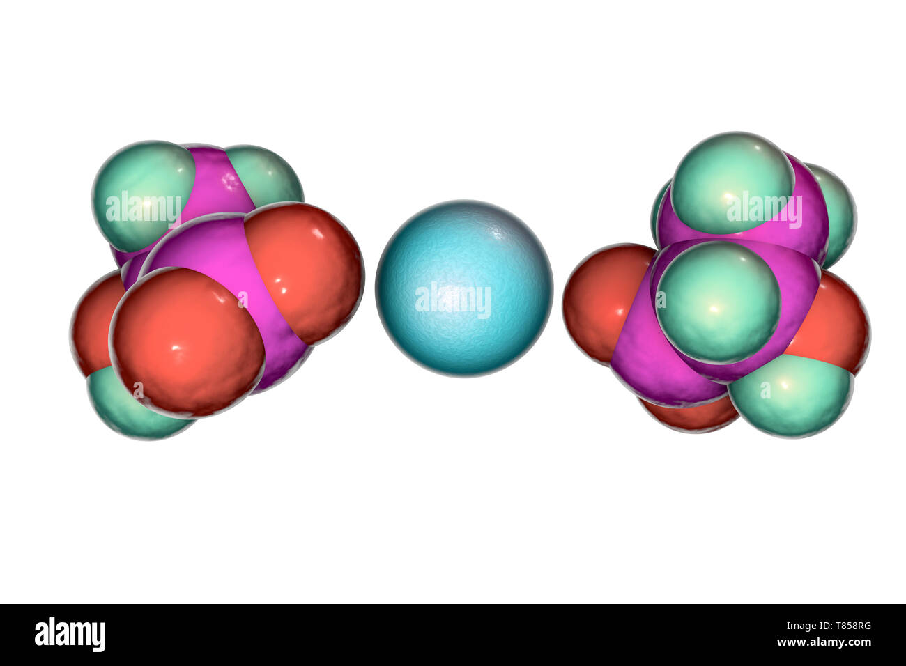 Calcium lactate, molecular model Stock Photo - Alamy