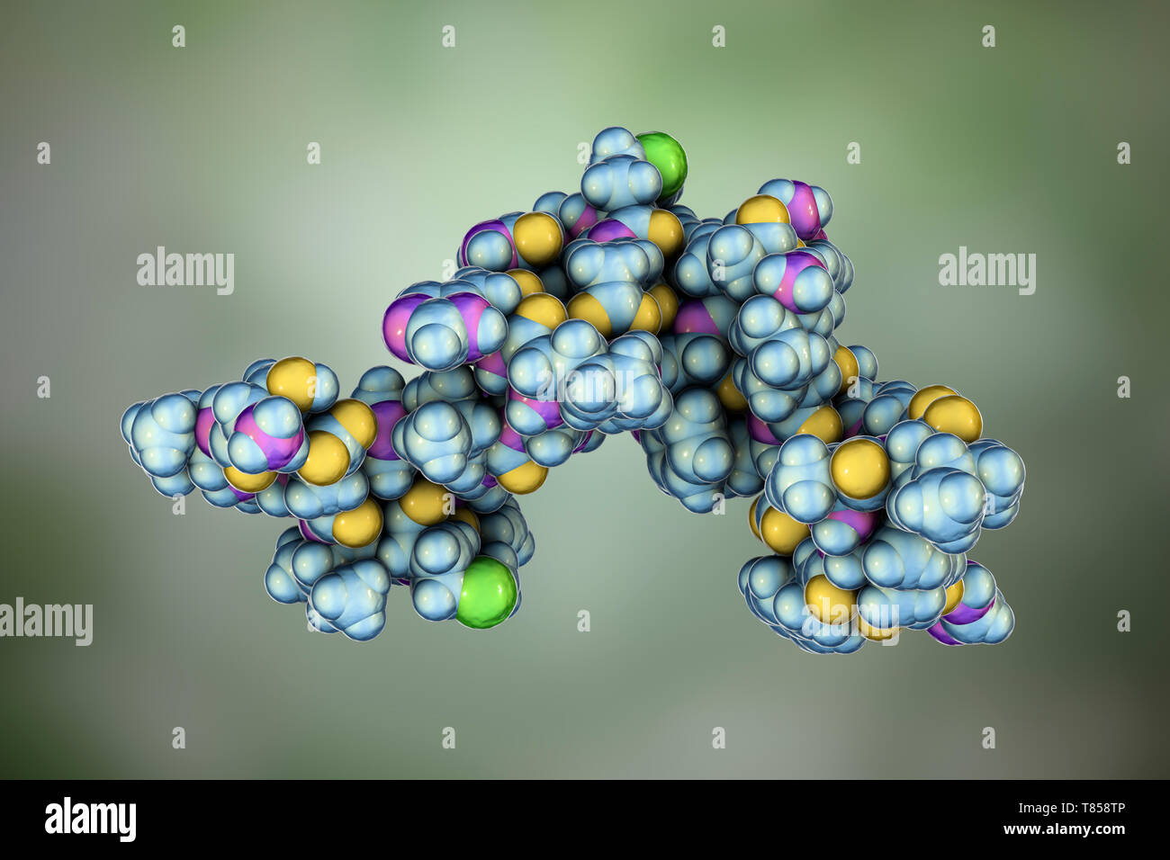Parathyroid hormone, molecular model Stock Photo - Alamy
