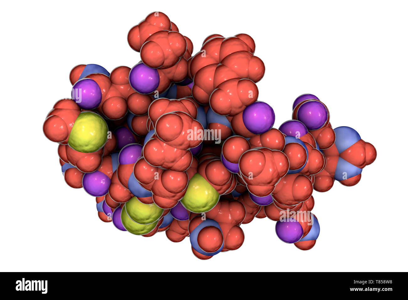 Molecule of scorpion chlorotoxin Stock Photo - Alamy
