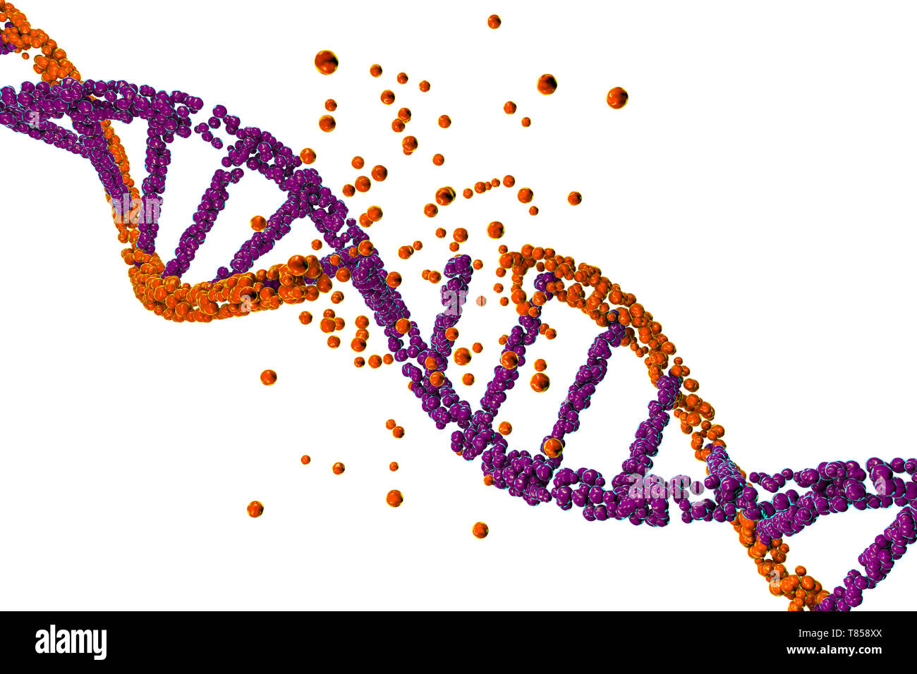 DNA damage, illustration Stock Photo - Alamy