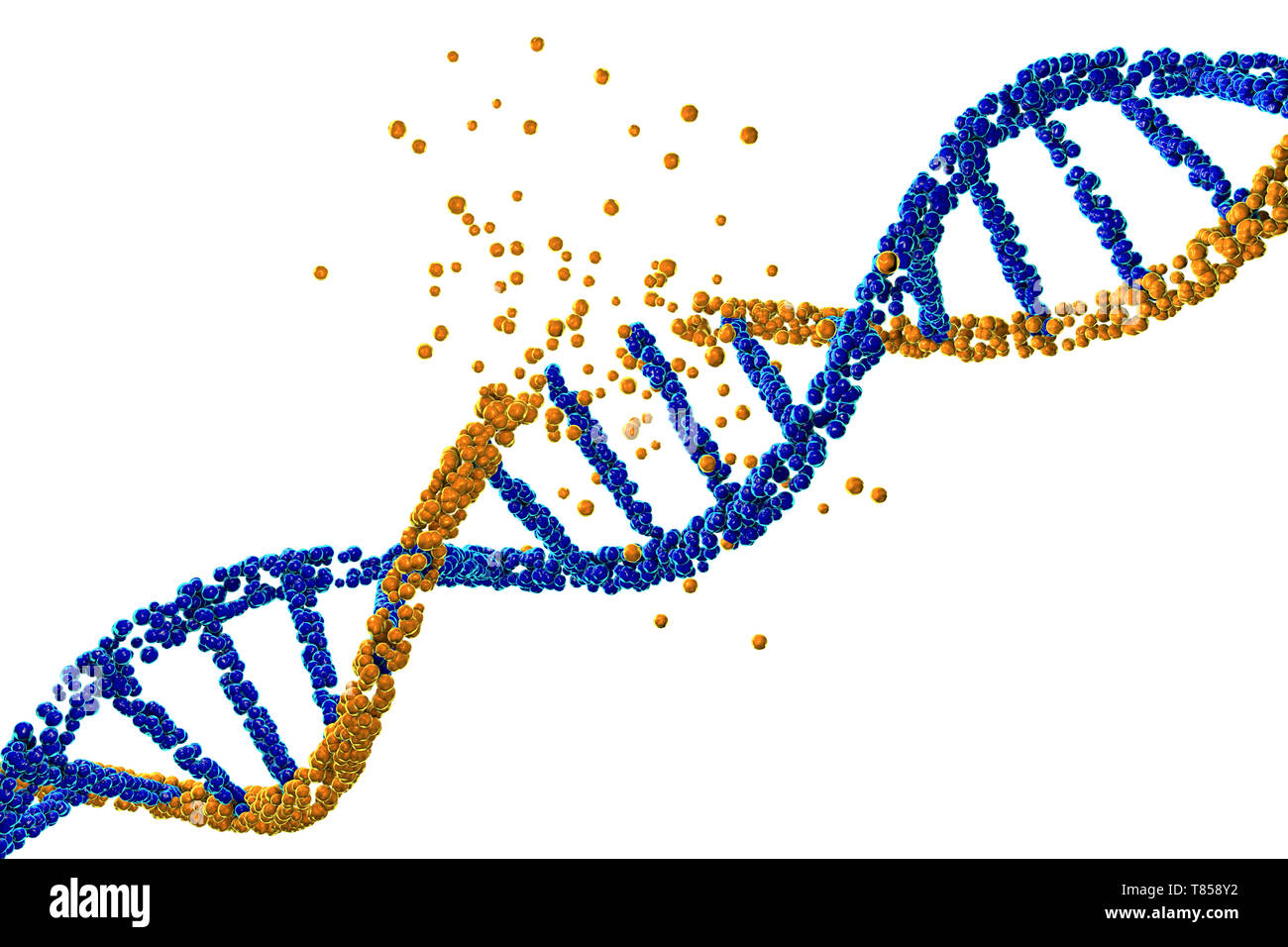 DNA damage, illustration Stock Photo - Alamy