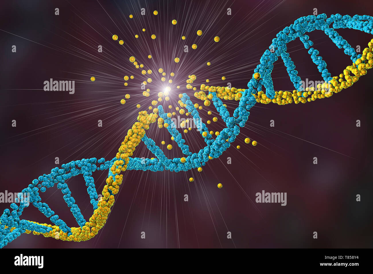 Dna Damage High Resolution Stock Photography and Images - Alamy