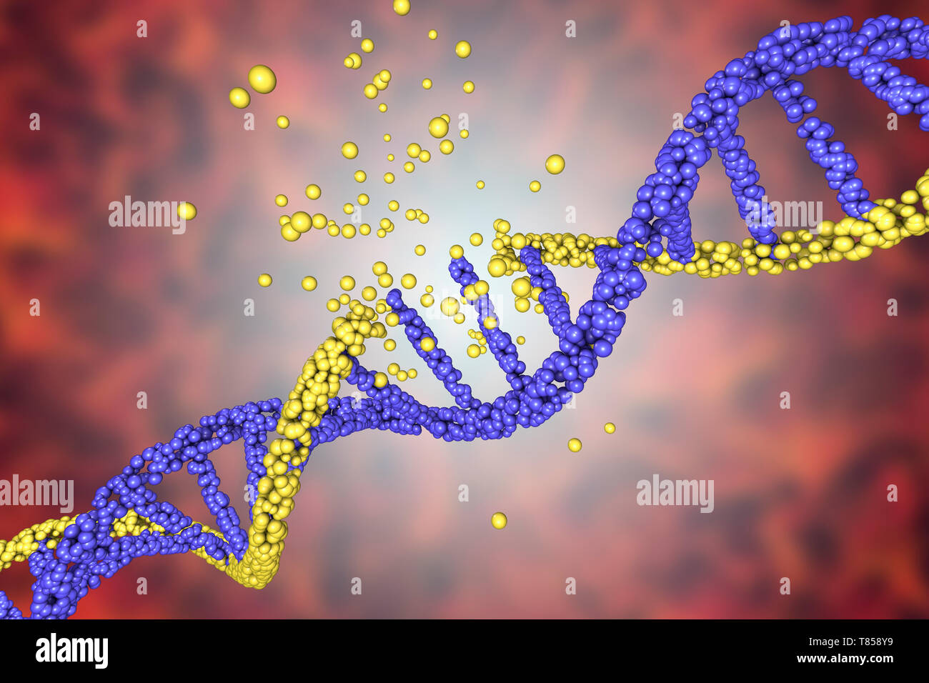 DNA damage, illustration Stock Photo - Alamy
