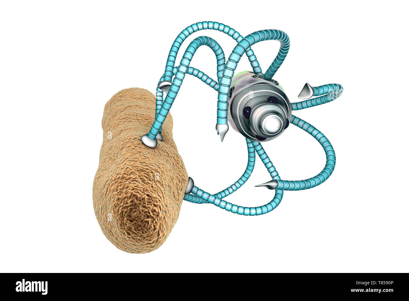 Medical nanorobot fighting with bacterium, illustration Stock Photo - Alamy