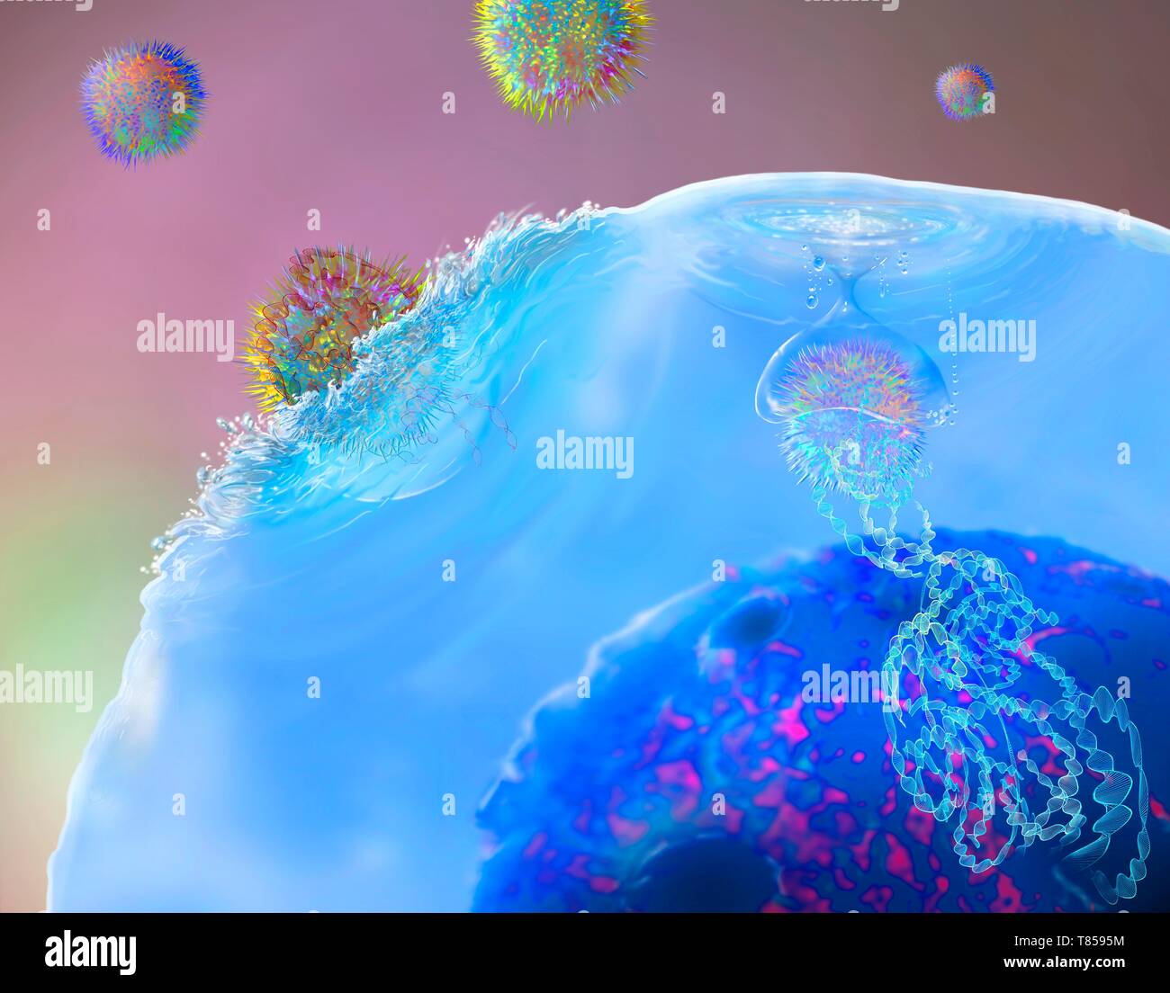 CAR T cell immunotherapy, illustration Stock Photo - Alamy