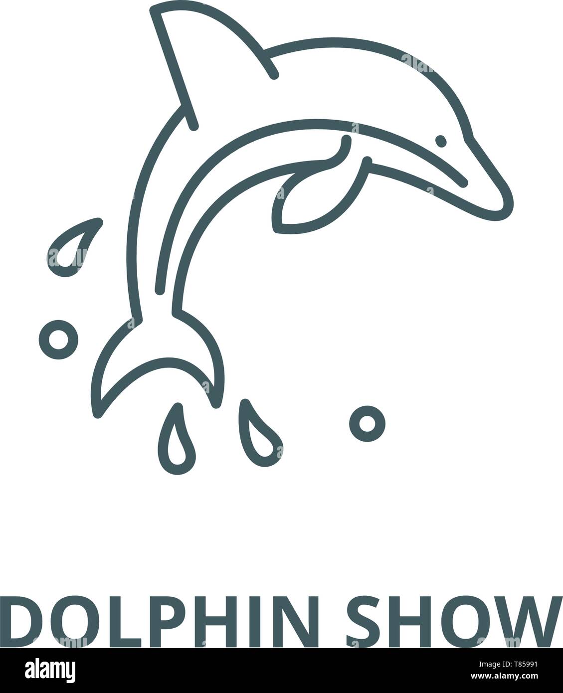 Dolphin Show Logo