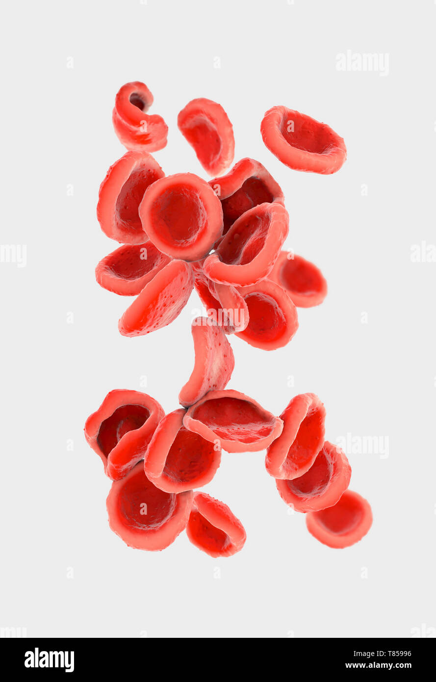 Red blood cells, illustration Stock Photo - Alamy