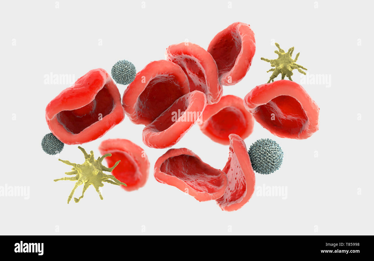 Blood cells, illustration Stock Photo - Alamy