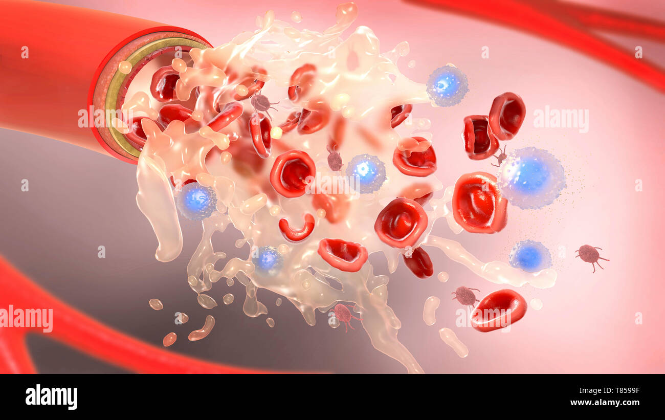 Blood components, illustration Stock Photo - Alamy