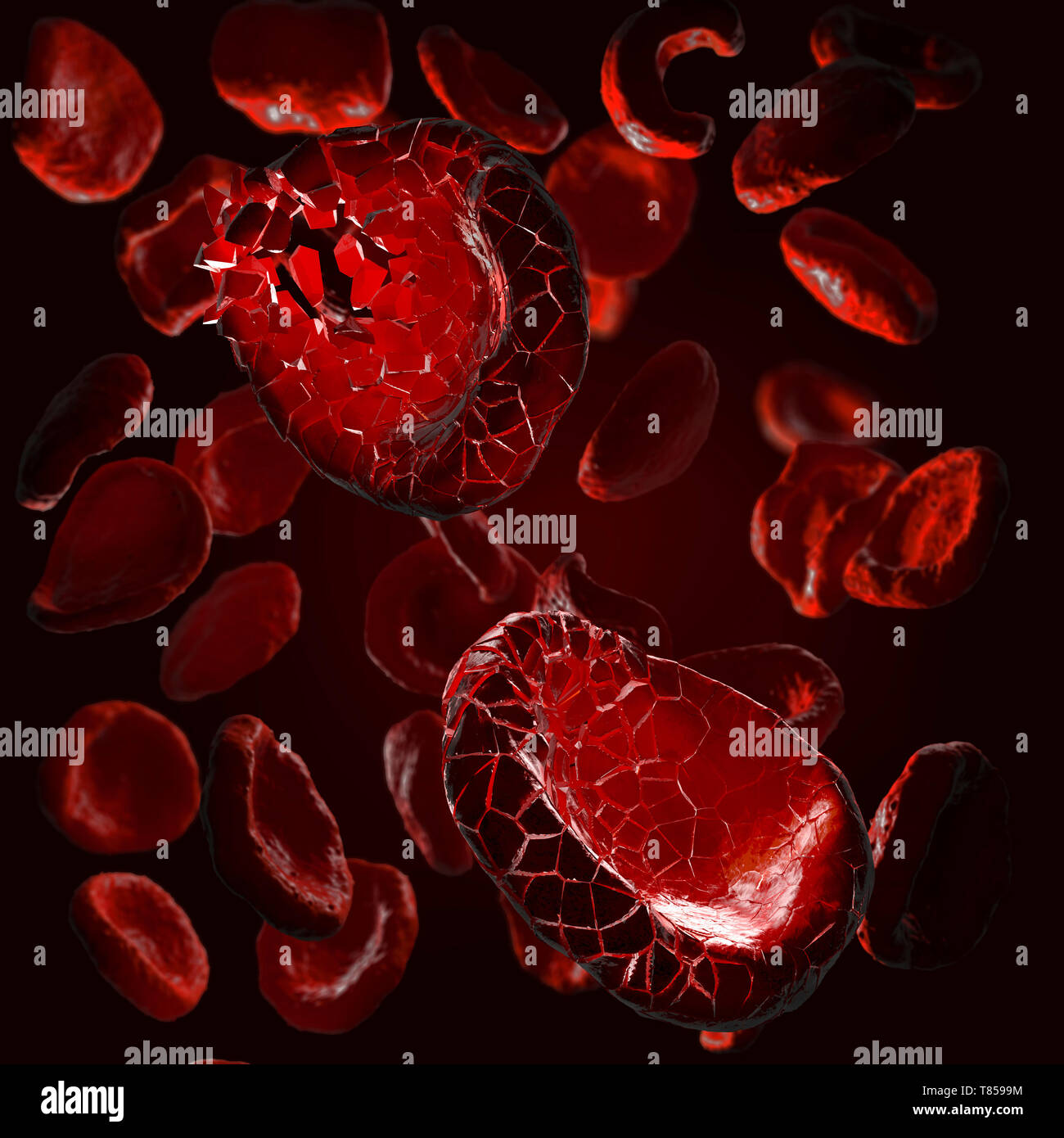 Disintegrating red blood cells, illustration Stock Photo - Alamy