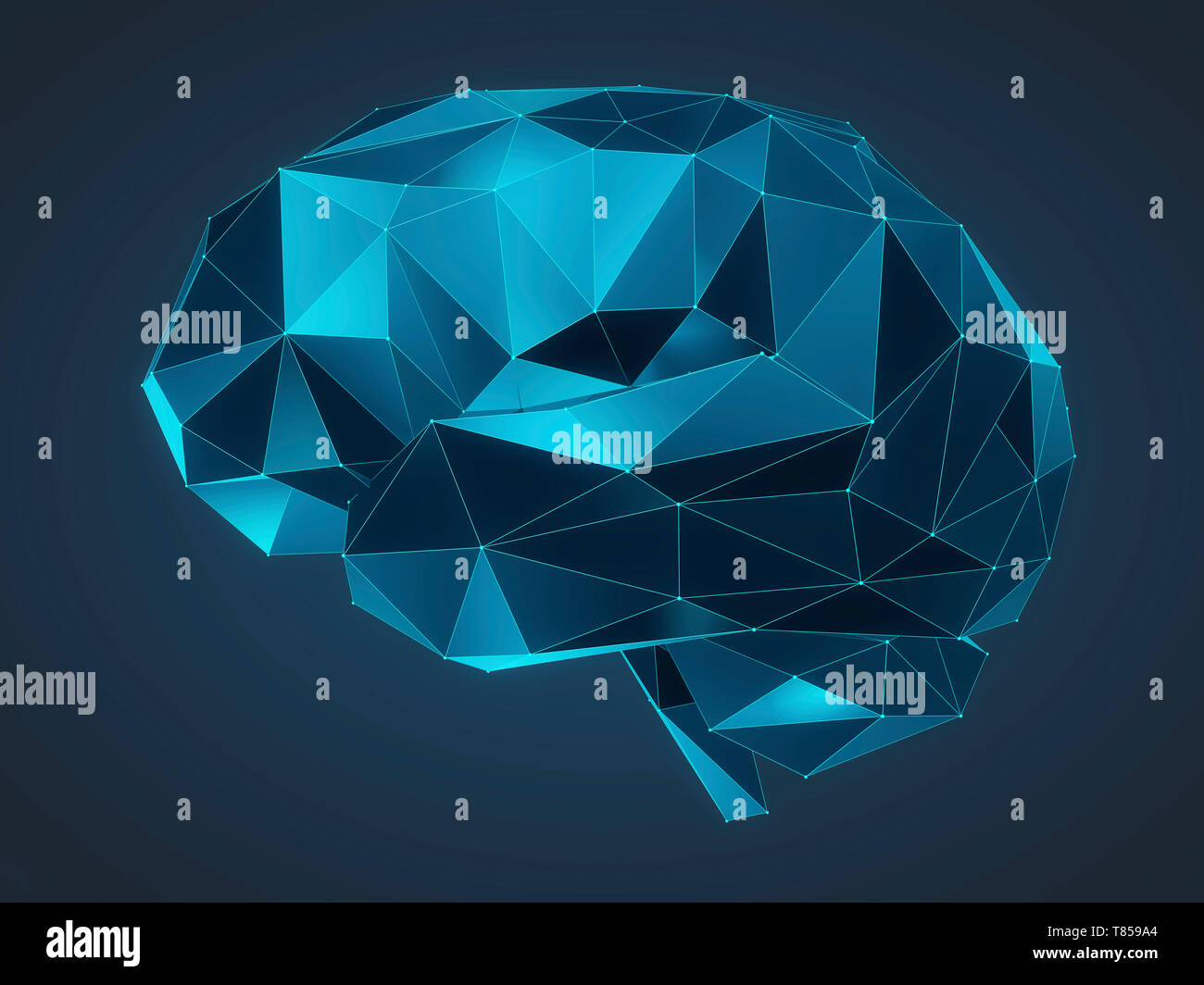 Human brain, illustration Stock Photo - Alamy
