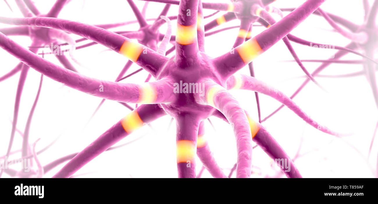 Nerve cells, illustration Stock Photo - Alamy