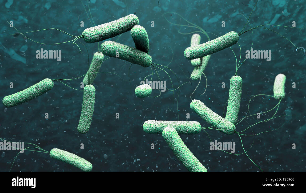 Bacteria infection hi-res stock photography and images - Alamy