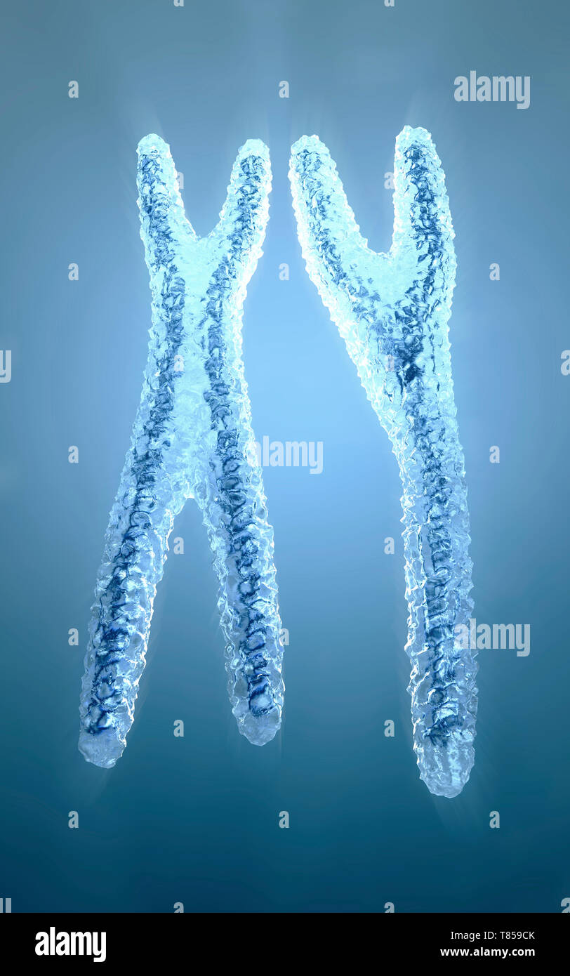 Chromosome structure hi-res stock photography and images - Alamy