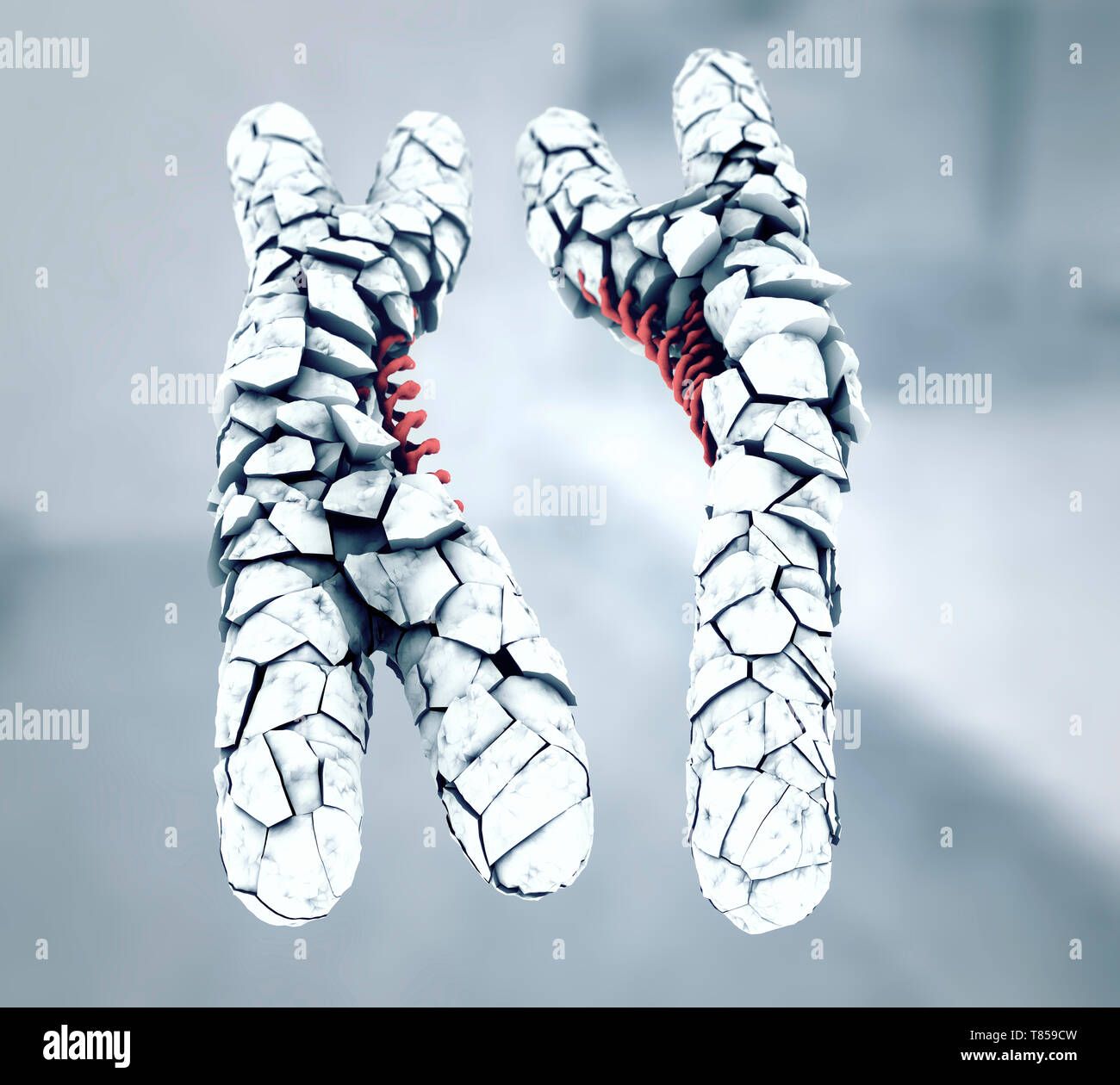 Chromosome x y hi-res stock photography and images - Alamy