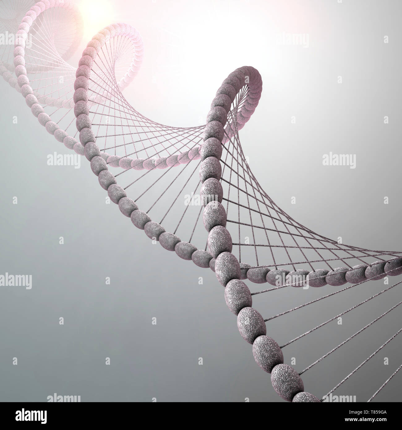DNA molecule, illustration Stock Photo - Alamy