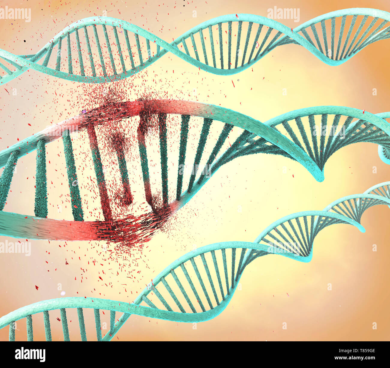 Damaged DNA molecule, illustration Stock Photo - Alamy