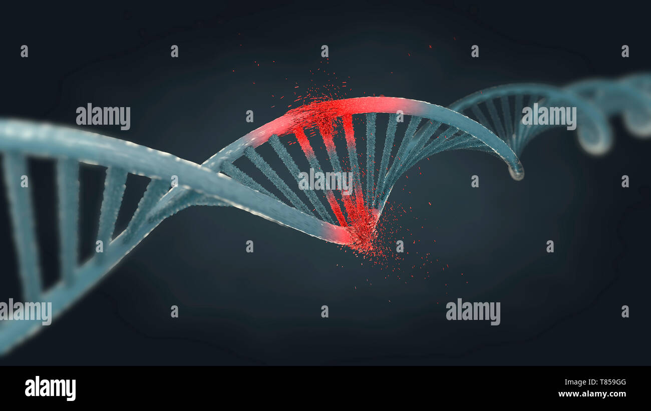 Damaged DNA molecule, illustration Stock Photo - Alamy