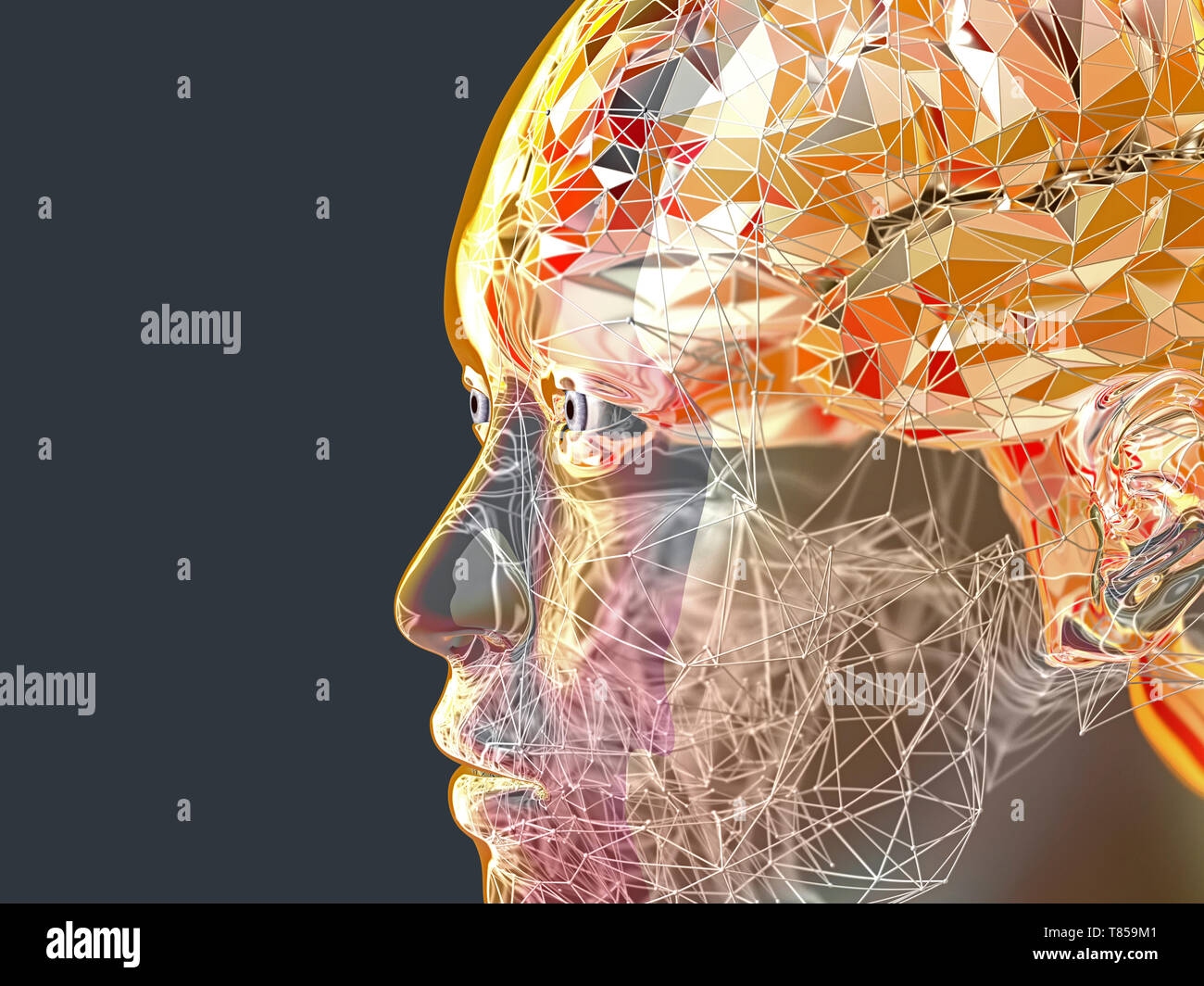 Human brain, illustration Stock Photo - Alamy