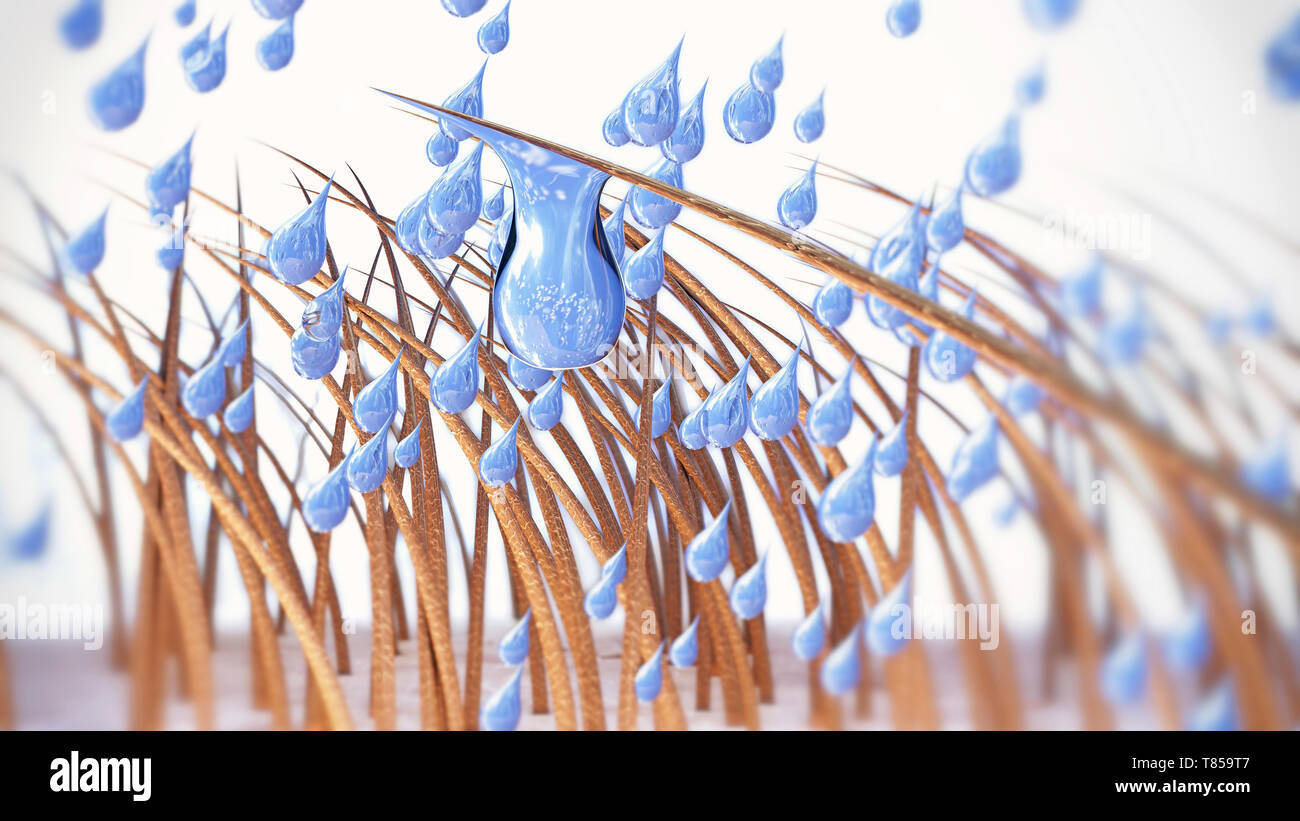 Wet hair, illustration Stock Photo - Alamy