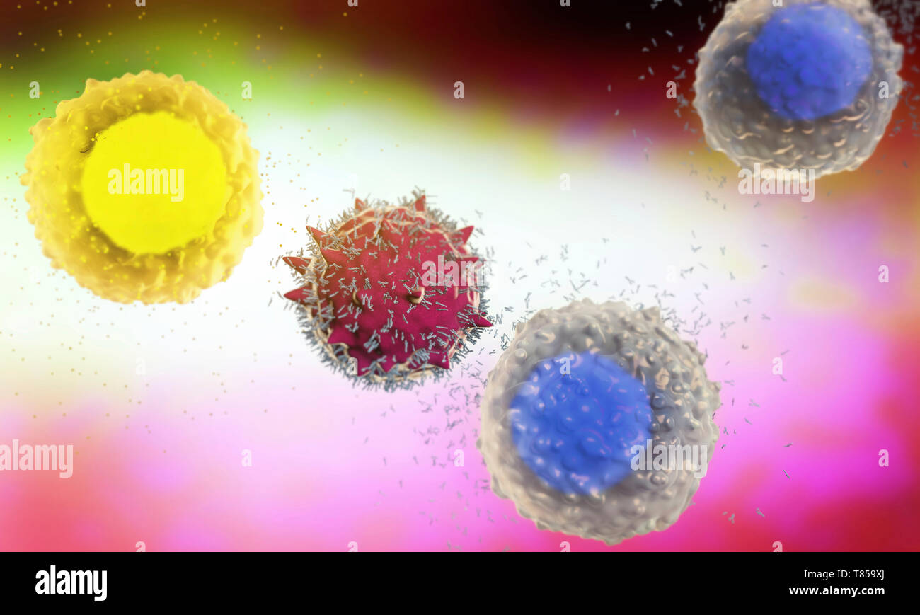 Immune response, illustration Stock Photo - Alamy