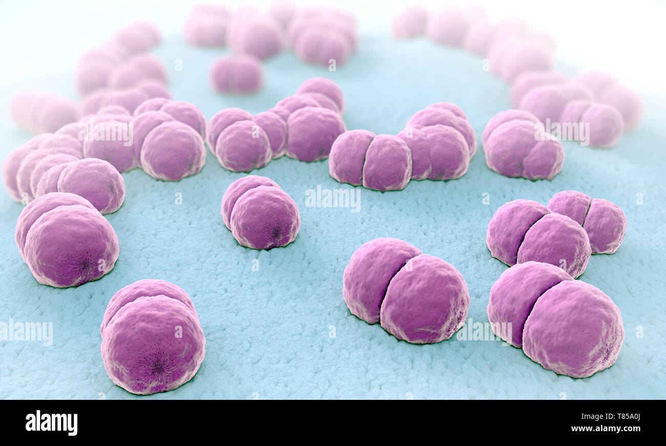 Meningitis and meningococcal disease hi-res stock photography and ...