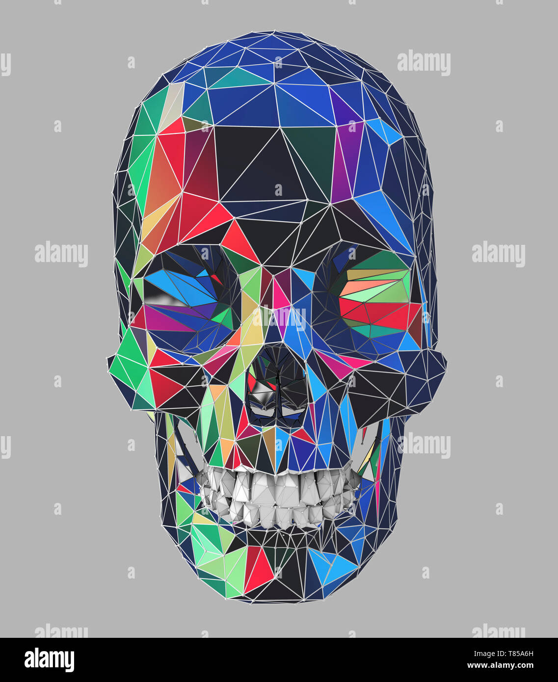 Human skull, illustration Stock Photo - Alamy