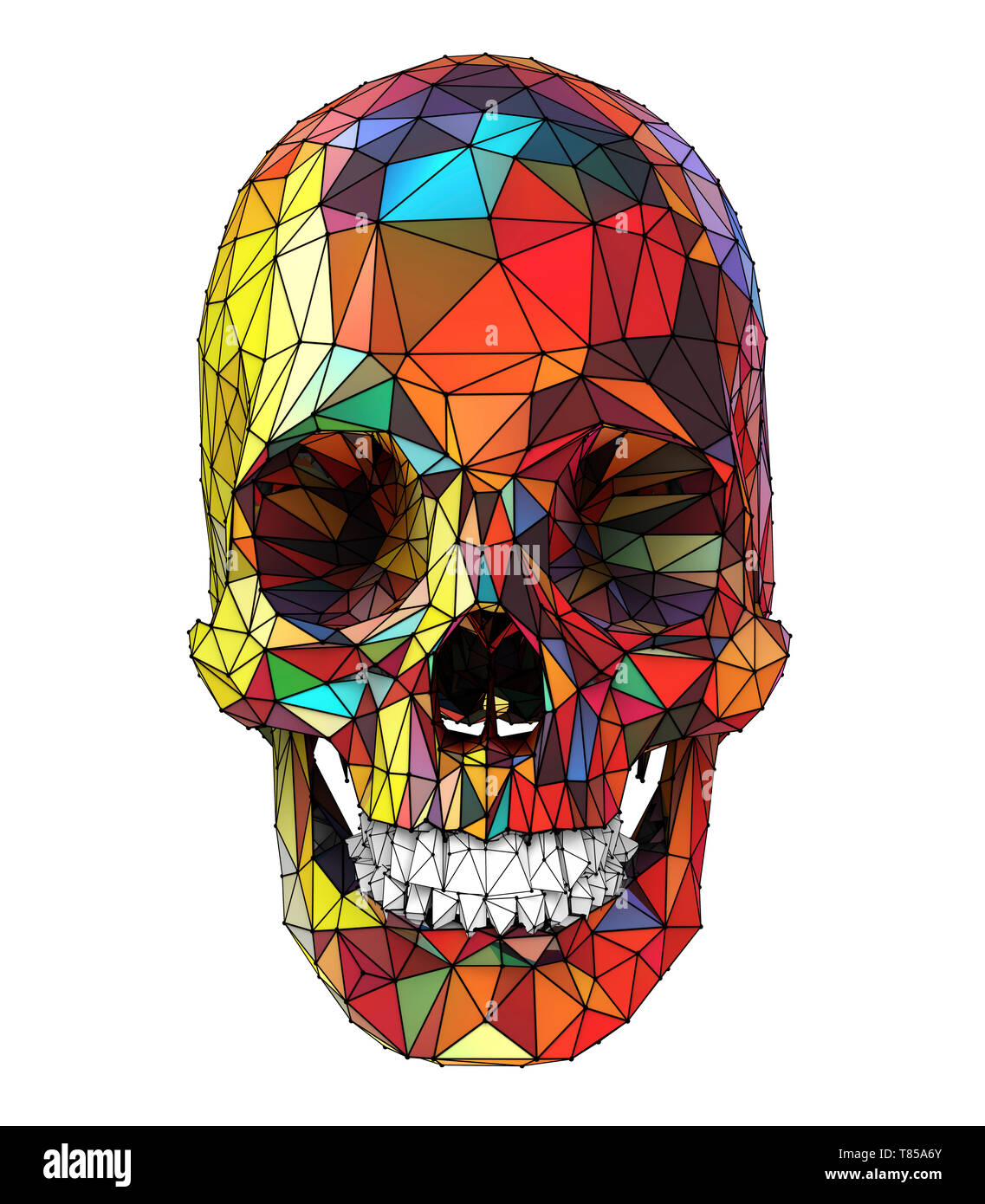 Human skull, illustration Stock Photo - Alamy