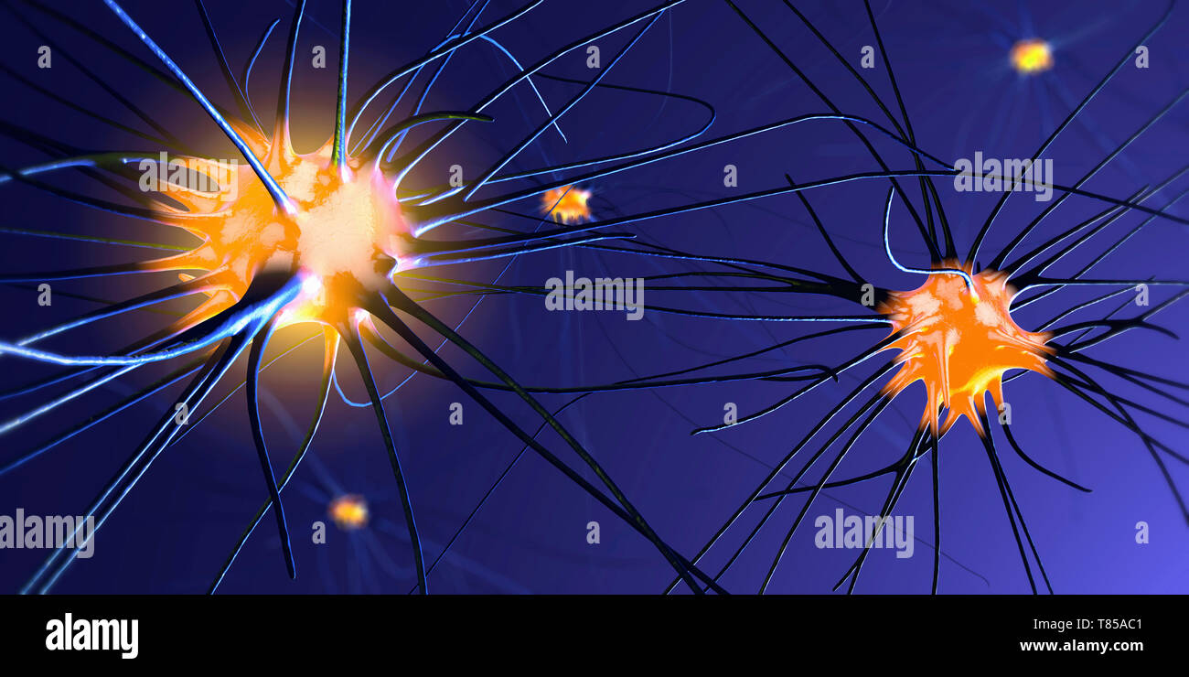 Sensory system hi-res stock photography and images - Alamy