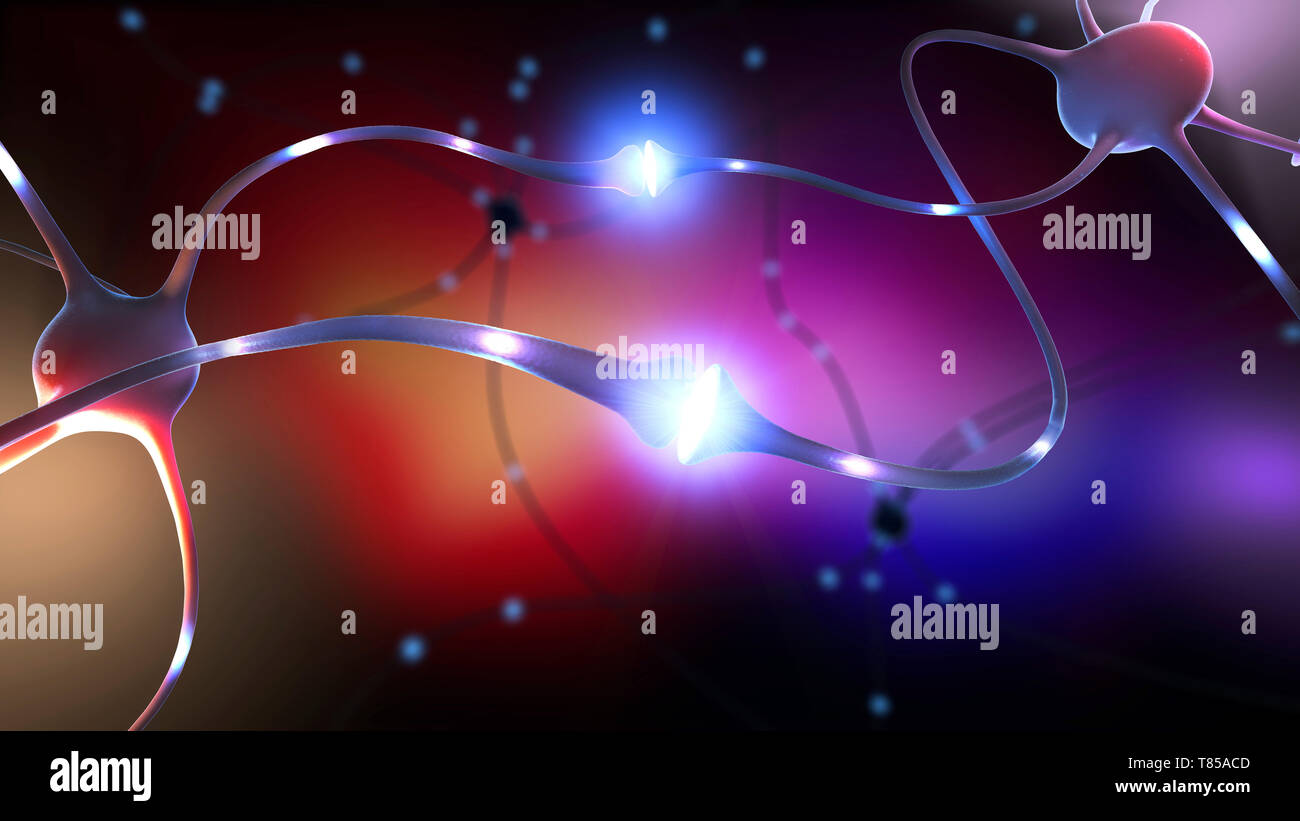 Nerve cells, illustration Stock Photo - Alamy