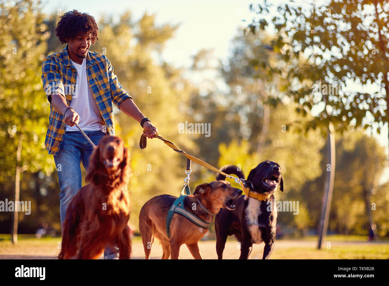 Happy walking hi-res stock photography and images - Alamy