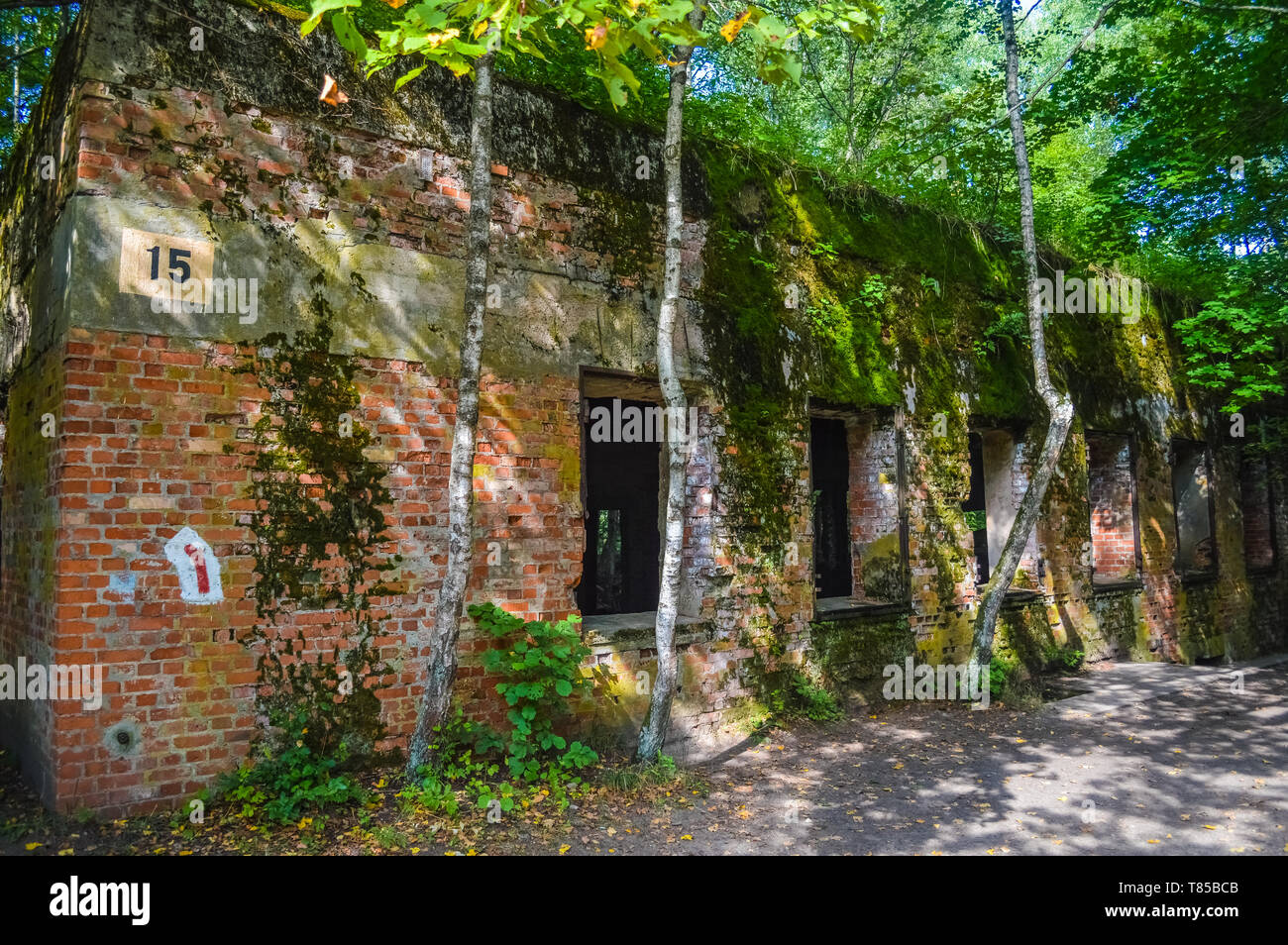 Adolf hitler headquarters ruins hi-res stock photography and images - Alamy