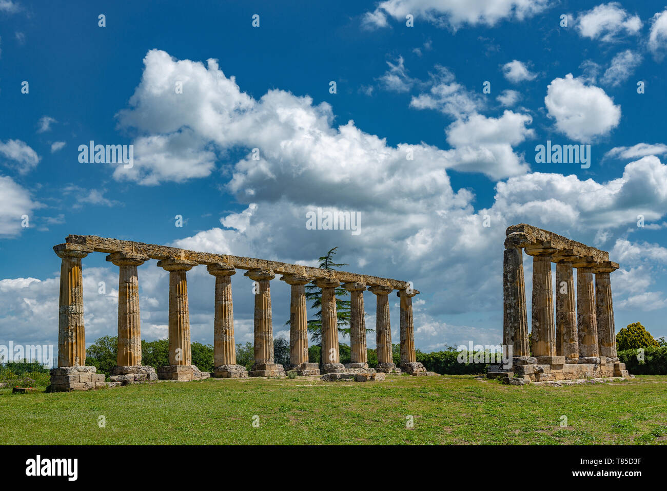 sanctuary of Hera (tavole Palatine), Metaponto. Basilicata Italy Stock ...