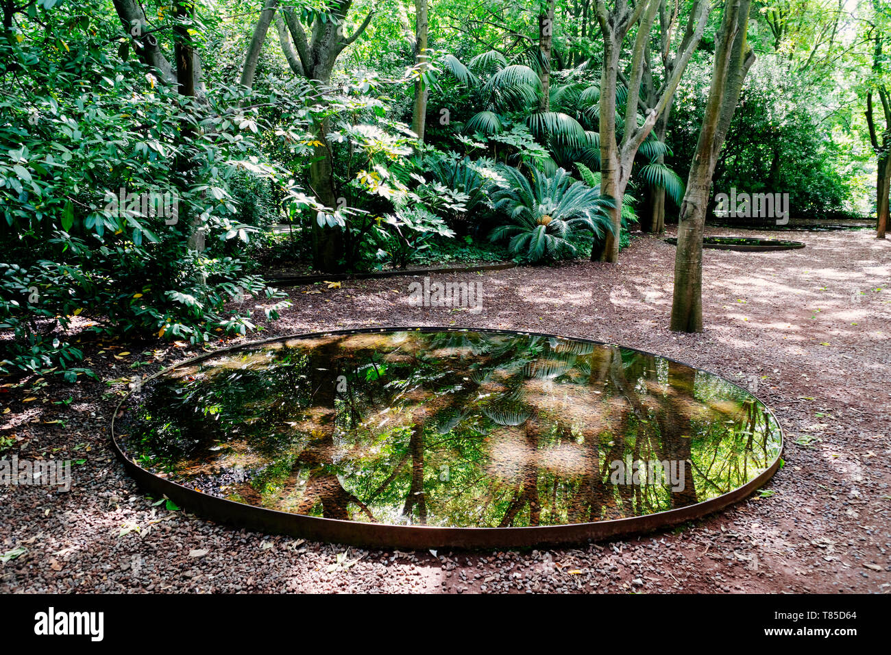 Small Pond Water Reflections In Lisbon Garden Stock Photo - Alamy
