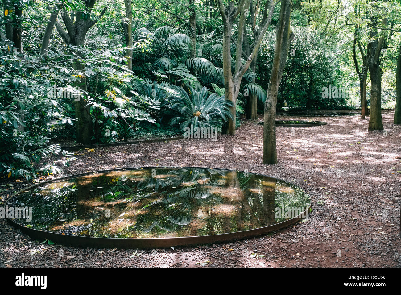 Small garden pond sunlight hi-res stock photography and images - Alamy