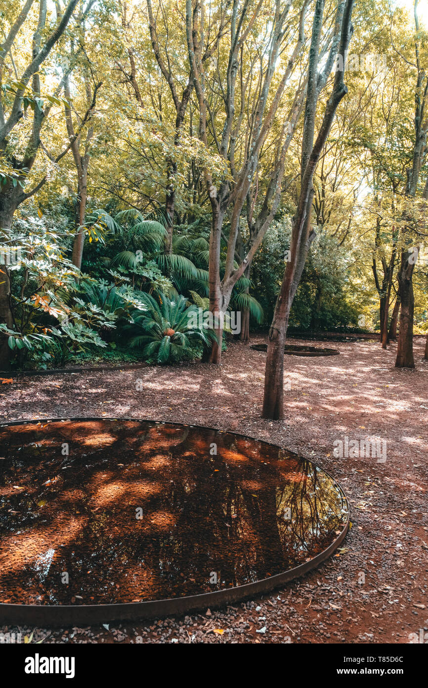 Small garden pond sunlight hi-res stock photography and images - Alamy