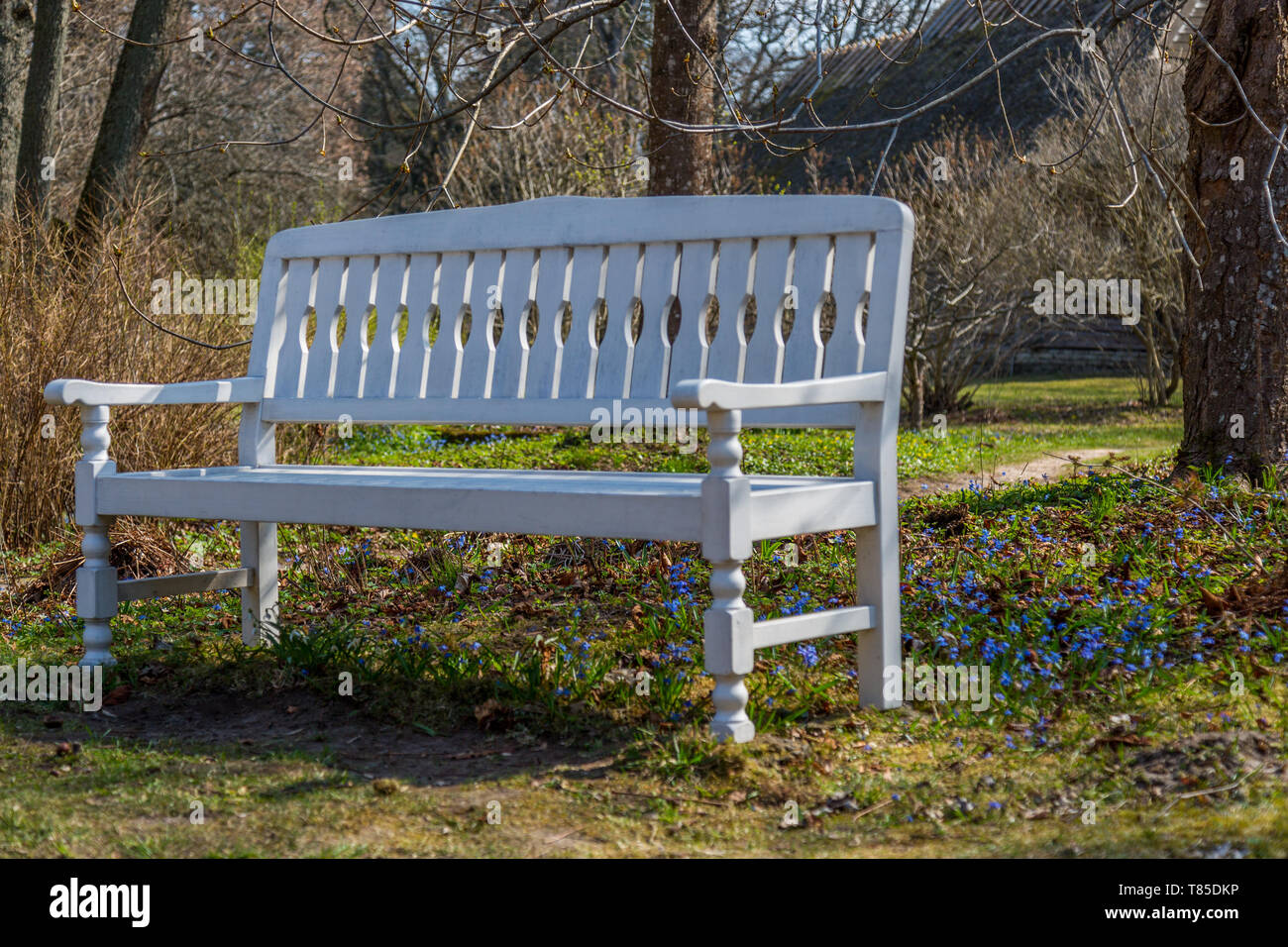 White Bench in the park Stock Photo - Alamy