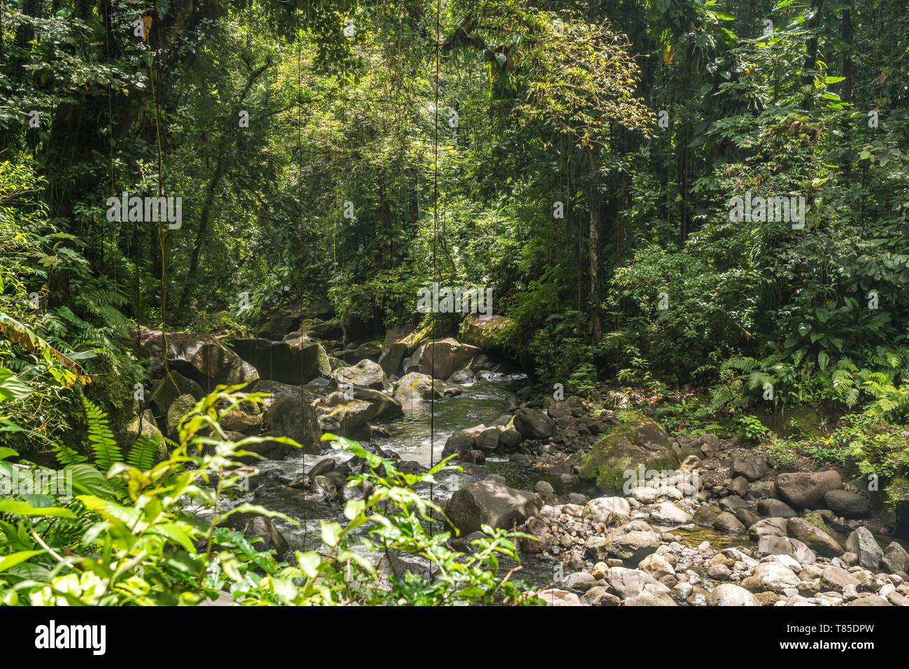Carbet river hi-res stock photography and images - Alamy