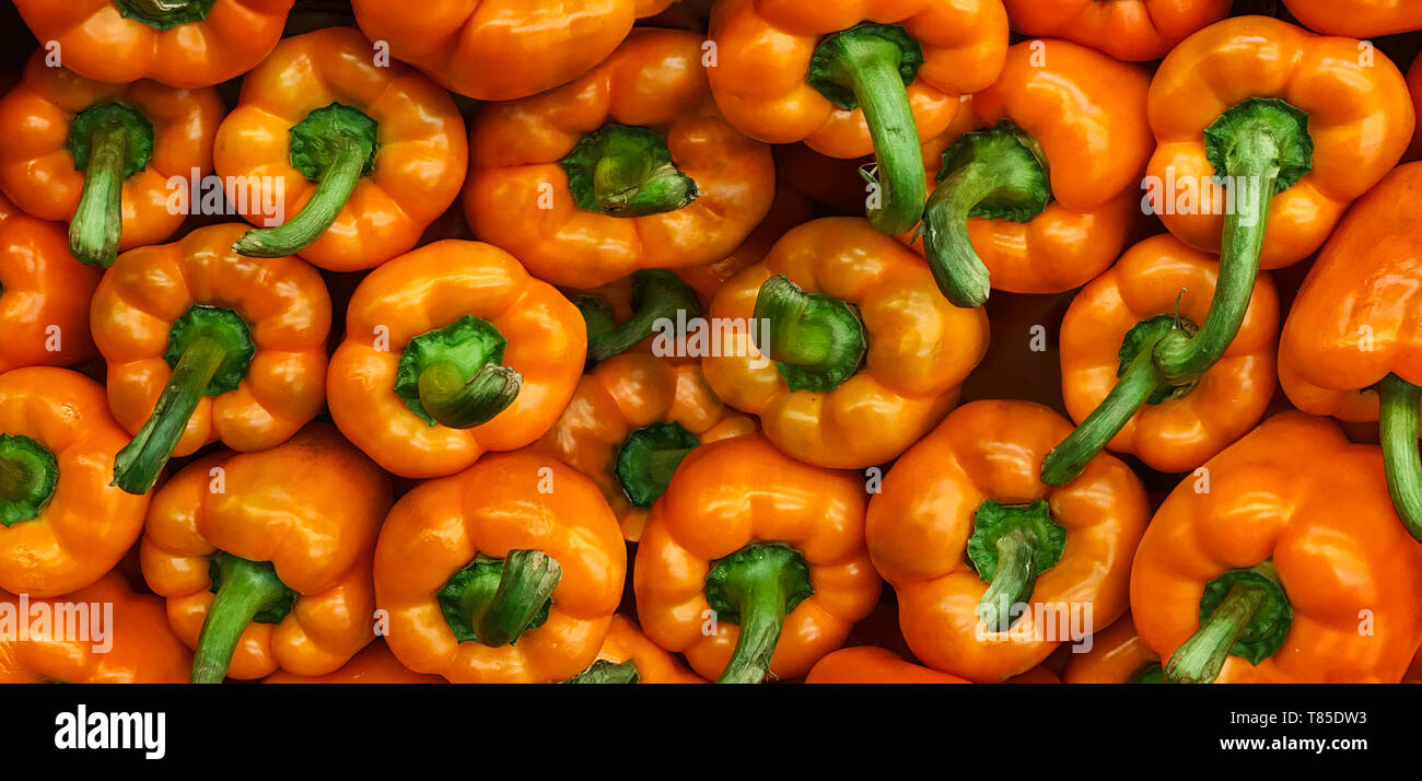 Orange bell peppers background, bunch of orange bell peppers Stock ...