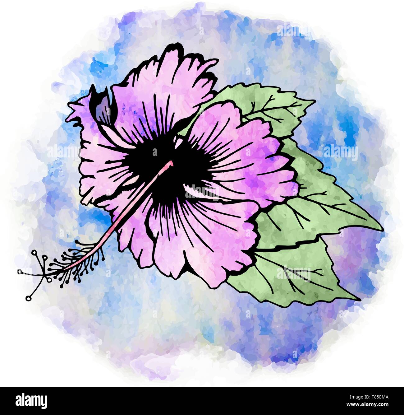 Closeup white wildflower in Stock Vector Images - Alamy