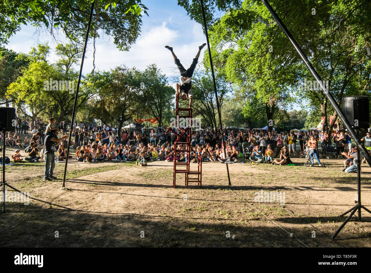 Alamillo park sevilla hi-res stock photography and images - Alamy