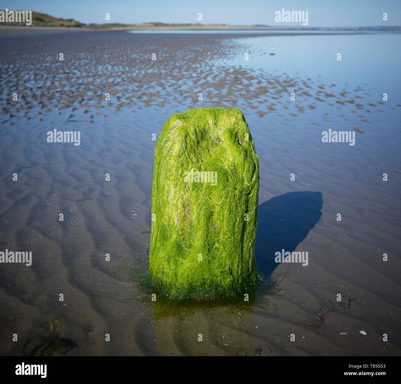 Newcastle Bay, Northern Ireland, UK Stock Photo - Alamy