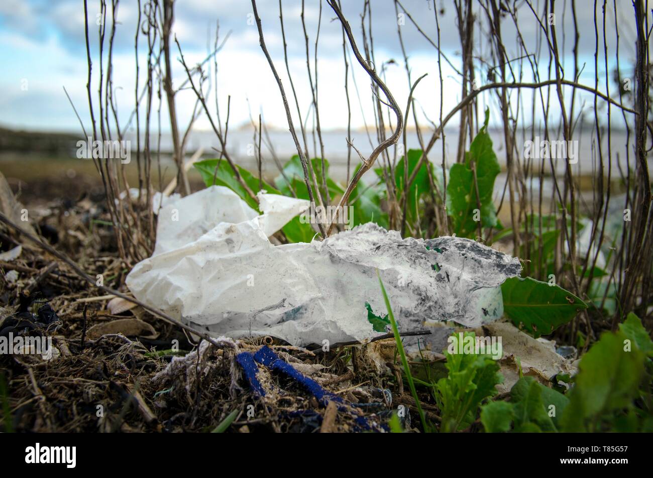 Plastic damage to environment hi-res stock photography and images - Alamy