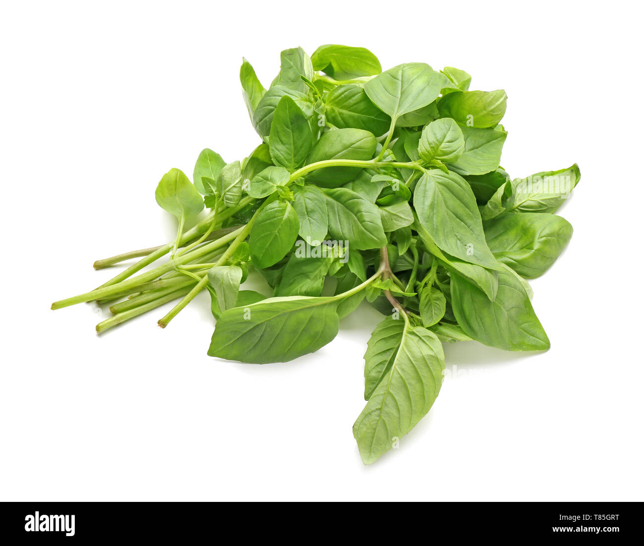 Fresh basil on white background Stock Photo - Alamy
