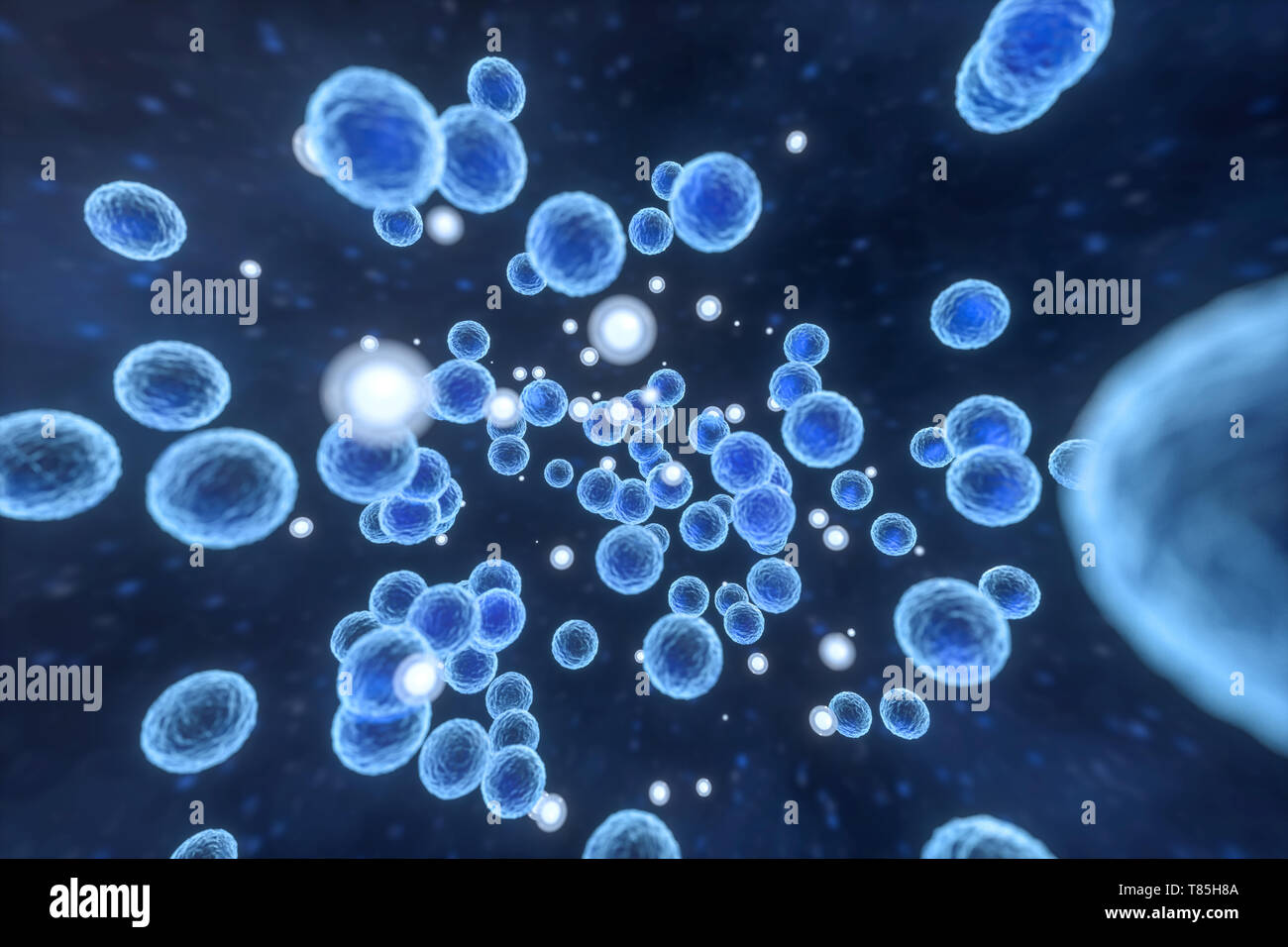 3d rendering, infectious virus with surface details on blue background ...