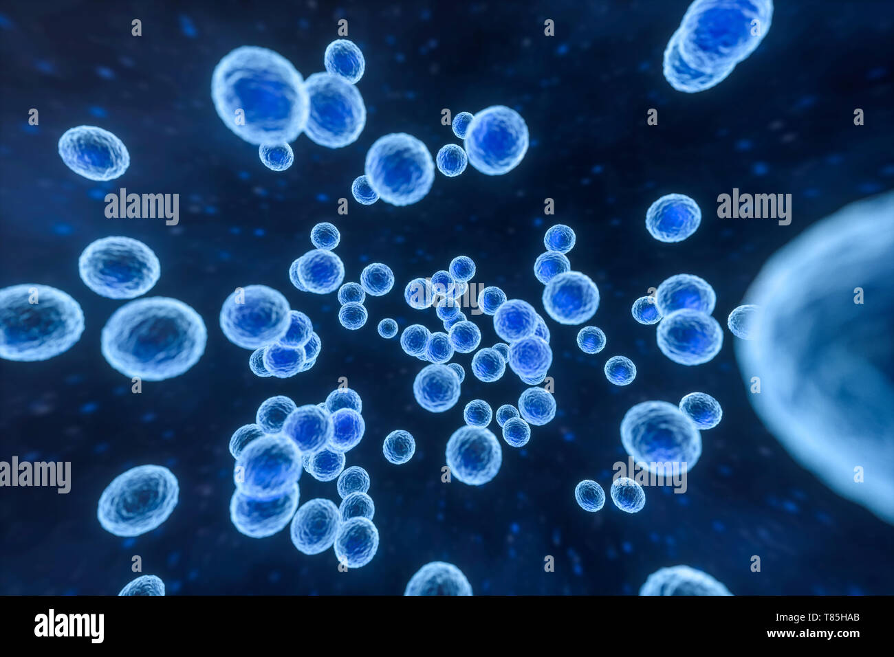 3d rendering, infectious virus with surface details on blue background ...