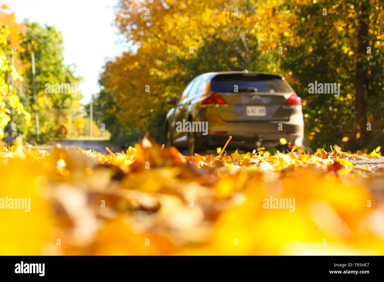 Drive down the road hi-res stock photography and images - Alamy